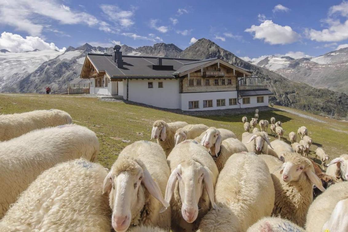 Hohe Mut Alm - Rolling Pin